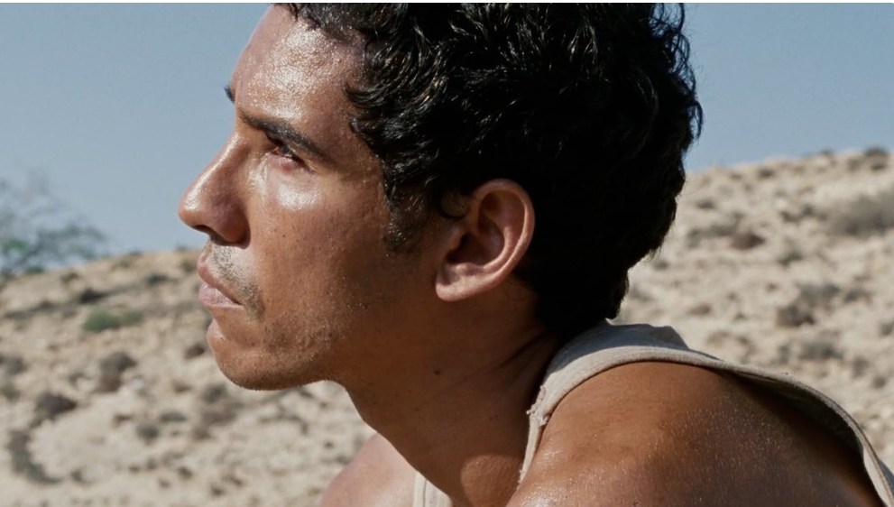 Le film Harka en avant-première à l’IMA le 31 octobre