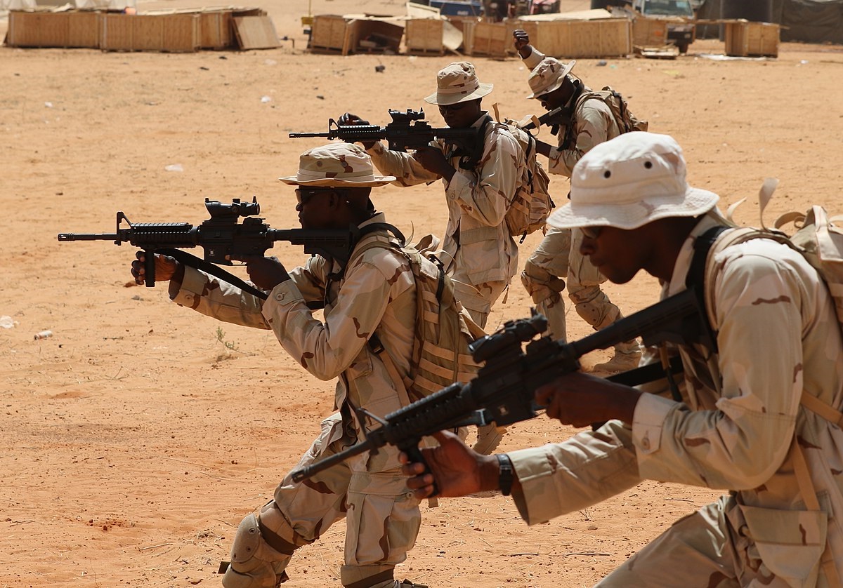 Coup d’État au Niger : Y aura-t-il une intervention militaire